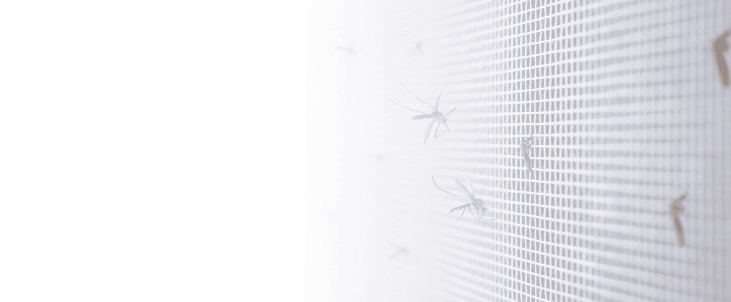 Insect Education Center | Bug Resources | Clegg's Pest Control