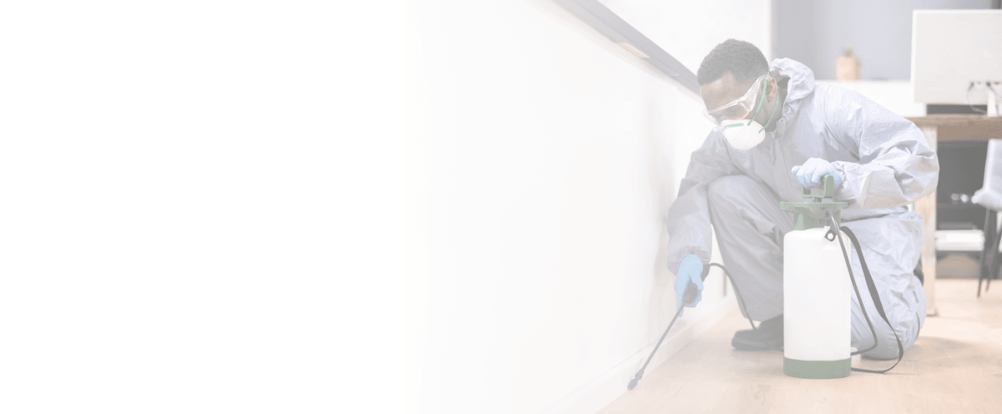 Promotions - Clegg's Pest Control